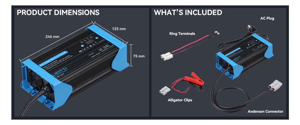 30A AC CHARGER - LICITTI